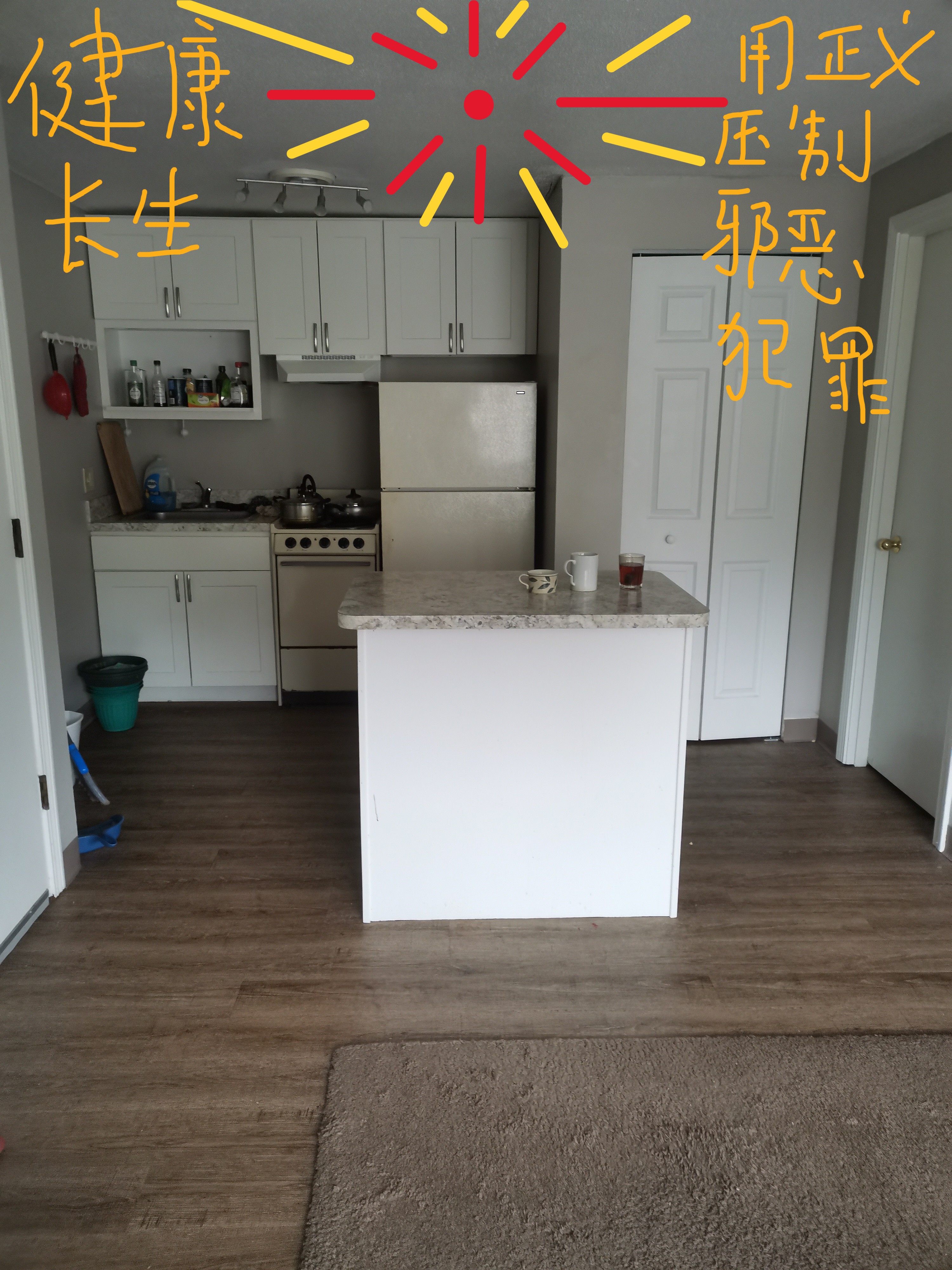 我以前的有冰箱的APTJ厨房-人类做阳光人，在阳光生存界面战胜AI神经电磁波犯罪-个人相册-尊重正义-万维博客-万维读者网（电脑版）